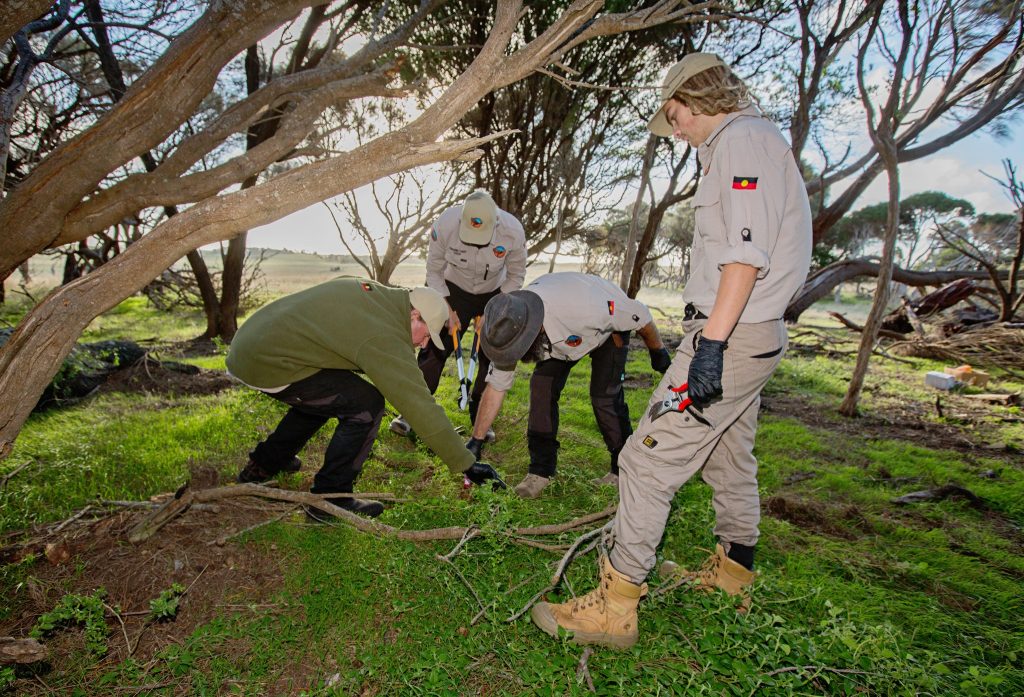 Tebrakunna Rangers | Melaythenner Teeackana Warrana Aboriginal Corporation