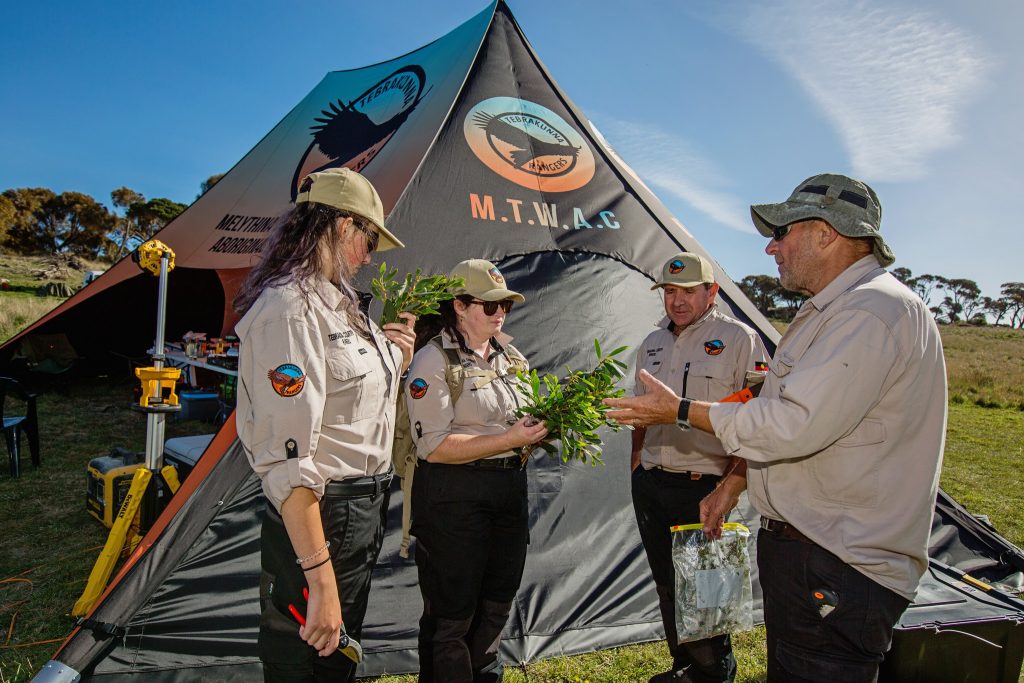 Tebrakunna Rangers | Melaythenner Teeackana Warrana Aboriginal Corporation