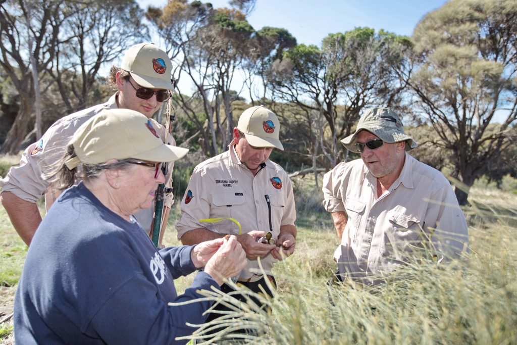 Tebrakunna Rangers | Melaythenner Teeackana Warrana Aboriginal Corporation